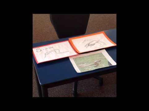 Mini Lecture- Counterconditioning