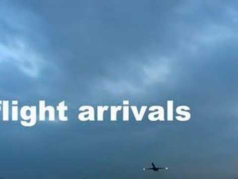 flight arrivals