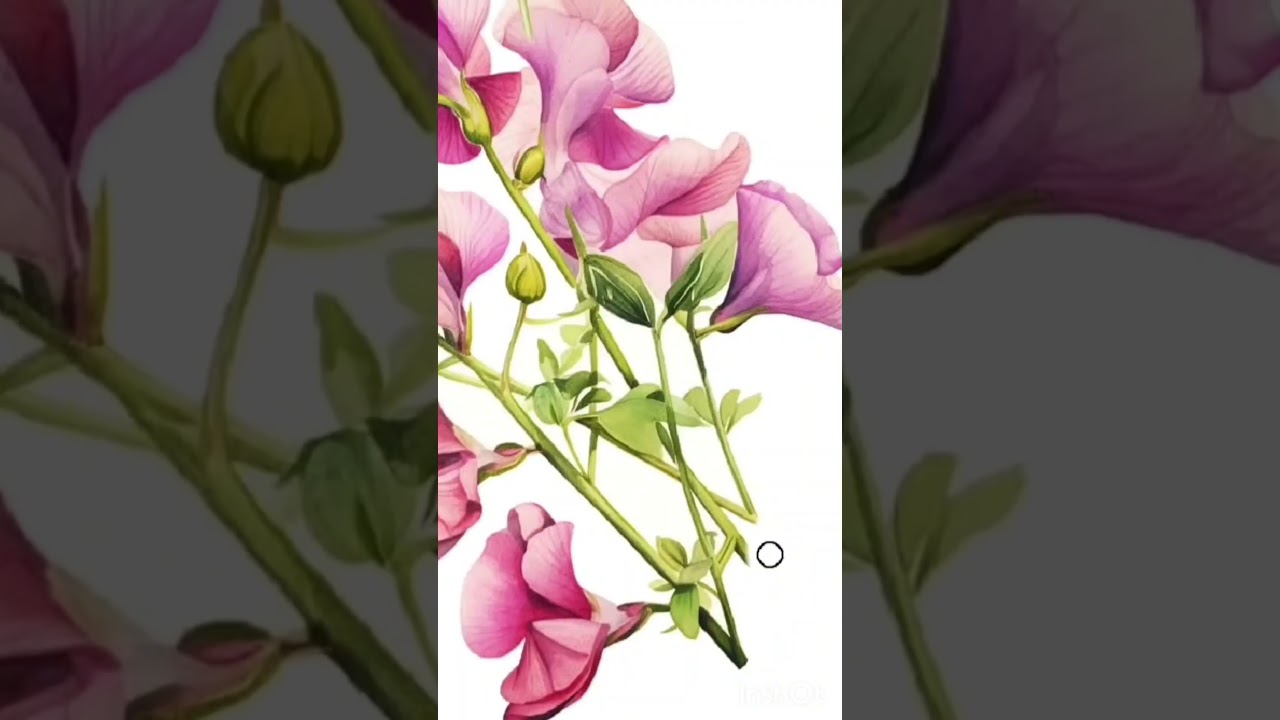 Design with me a Floral Pattern - Surface Pattern Design - Textile Design