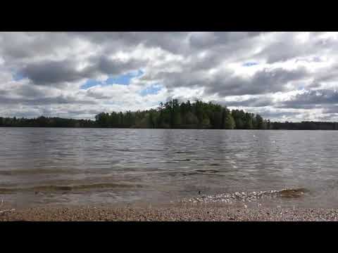 The Lone Tree Spirit Foundation – Proudly Supporting Lone Tree Scout ...