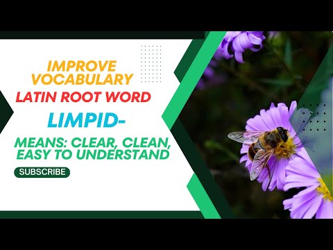 Discover the Secrets of English Vocabulary with LIMPID: Clean, Clear & Serene Root Word!