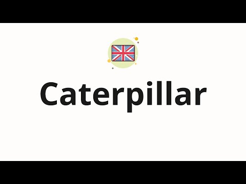How to pronounce Caterpillar