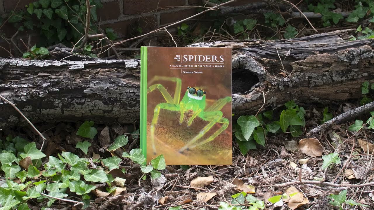 The Lives of Spiders: A Natural History of the World's SpidersXimena Nelson