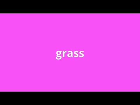 what is the meaning of grass.