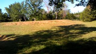 3 Best Public Parks in Norman, OK - Expert Recommendations