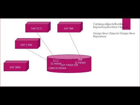 SAP HANA Repository Role