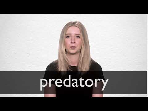 PREDATORY definition in American English | Collins English Dictionary