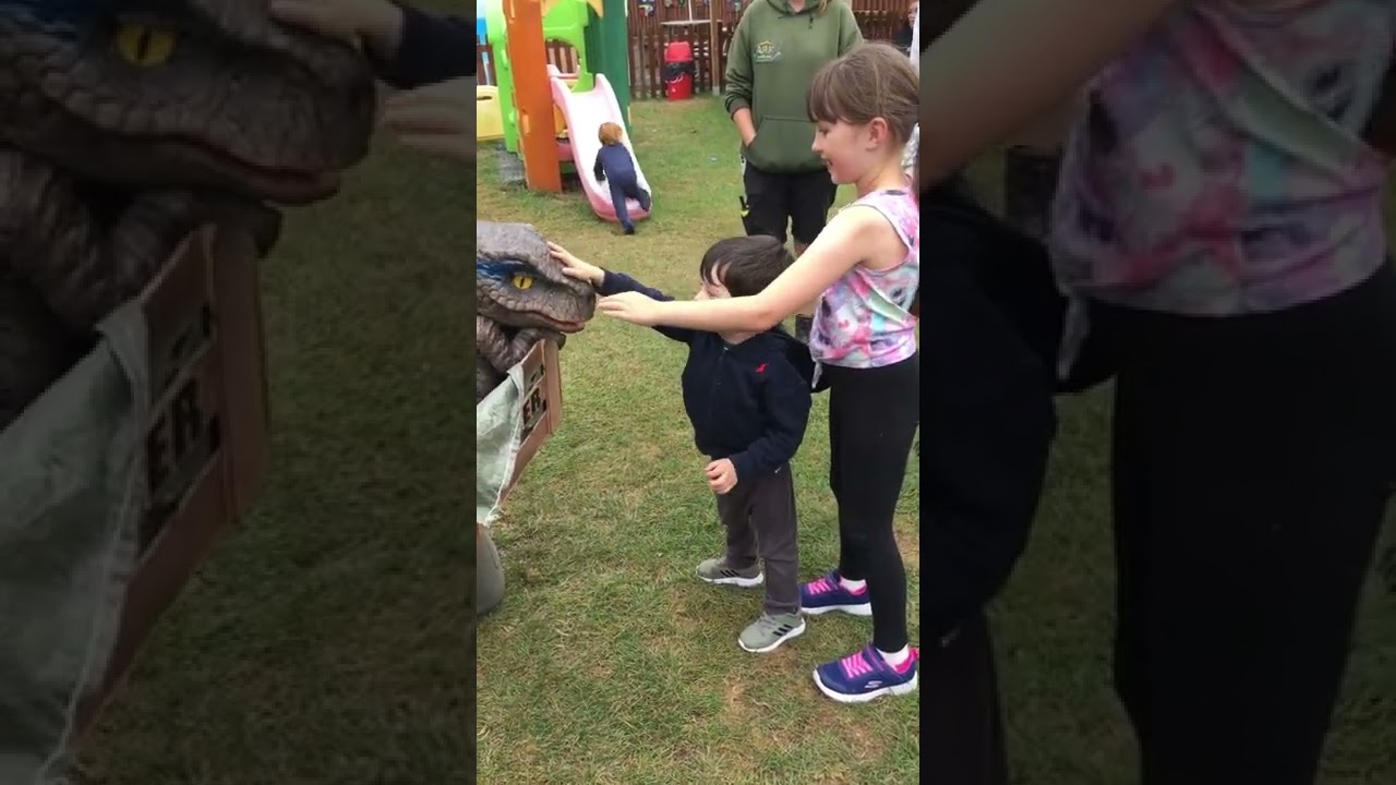 Baby Dino