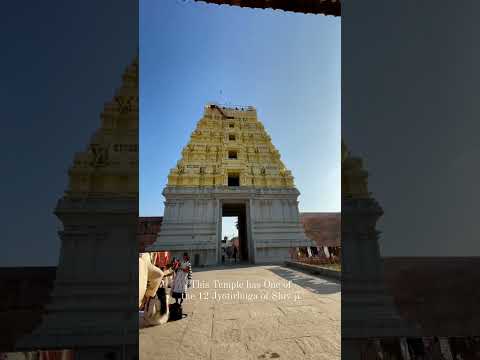 Rameshwaram Temple This temple has so many epic stories #shorts @krishnasays888 #shortsfeed#newshorts