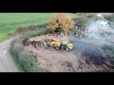 Tree surgery a complete overview of site life.