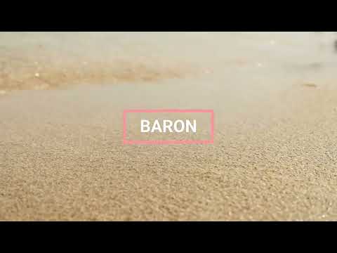 BARON MEANING - WHAT IS A BARON ?