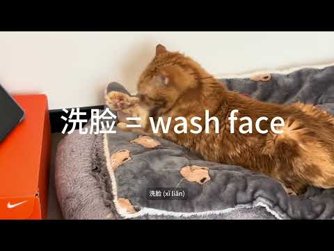 Learn Chinese with Kitty | Easy Mandarin: Cat & Wash Face