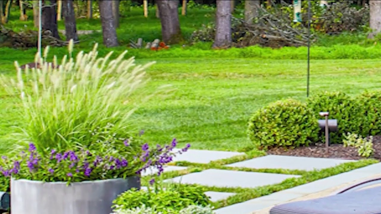 Spring garden and backyard design trends for 2024 | NBC4 Washington