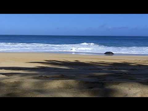 110122 Kauai tunnels beach zi3332
