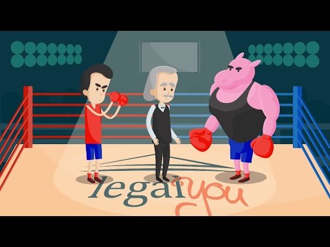 What Is A Summary Judgment And Why Is It Important?