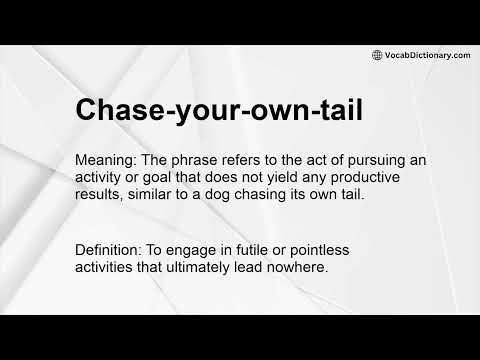 Chase-your-own-tail Meaning