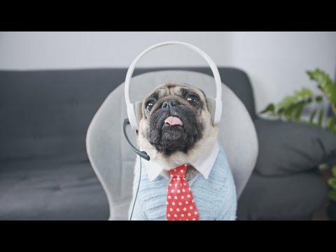 Blipper.ai Careers | Wellfound