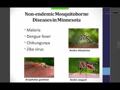 What You Need to Know about Vector-borne Diseases in Minnesota