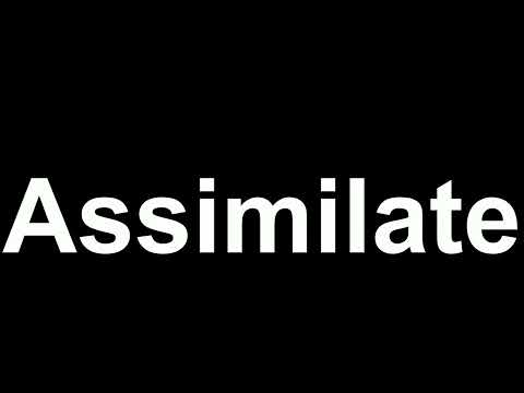 How to Pronounce "Assimilate"