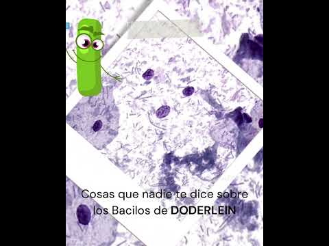 ¿Sabías que los Bacilos de Döderlein son tus aliados en la salud vaginal?