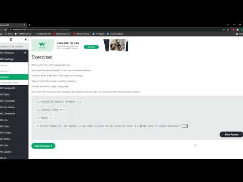 W3Schools HTML Exercises