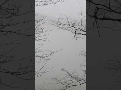 Erie & Spooky