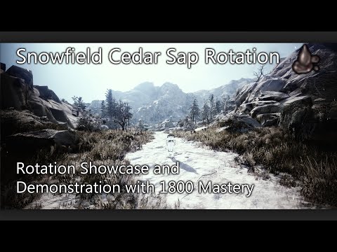[Game Play] Snowfield Cedar Sap Gathering Rotation | Black Desert Asia ...