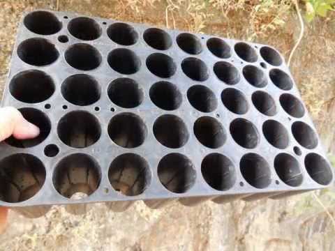 Root Trainers - Root Trainer Trays Latest Price, Manufacturers & Suppliers