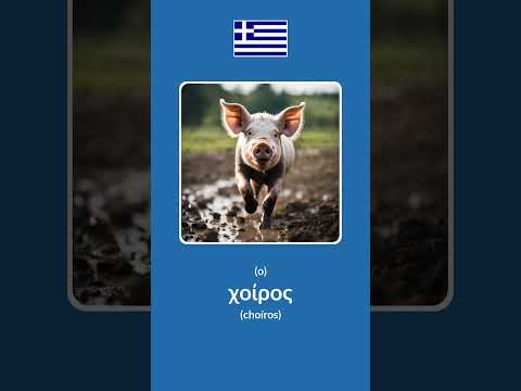 10 Common Animal Names in Greek
