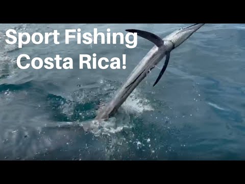 Sport Fishing Costa Rica