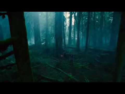 TWILIGHT- SCÈNE DE LA FORÊT