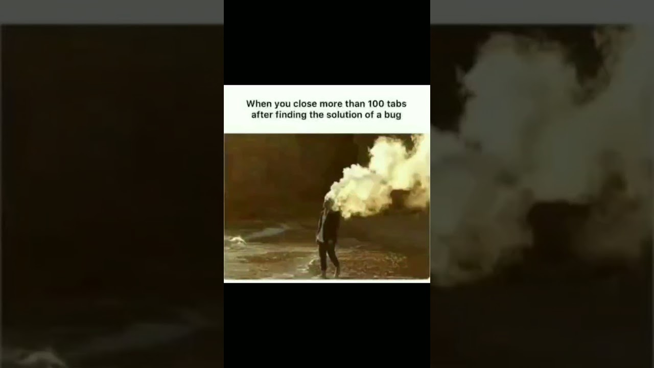 Developer after the bug fix