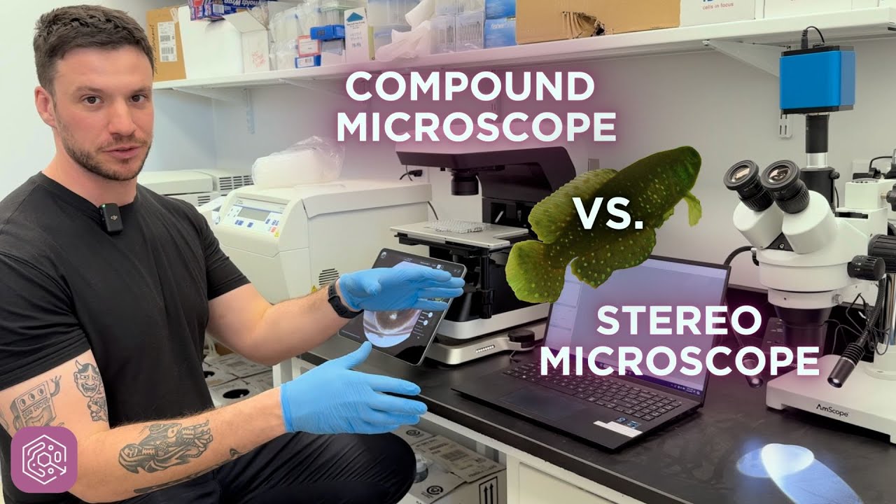 Compound vs. Stereo Microscope—Exploring a Killifish Embryo