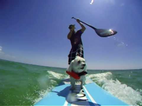 The Top 4 Must-Try Water Sports in the Sunshine State - 30A