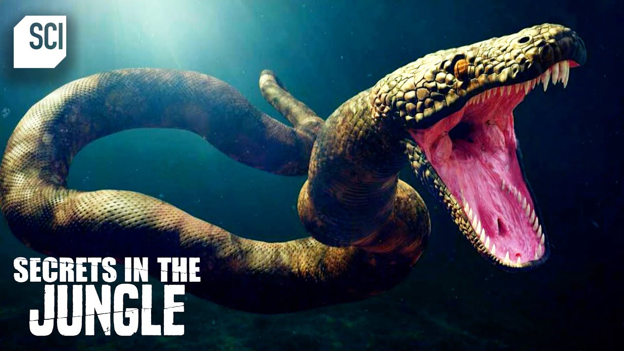 Unearthed Vertebrae of a 58 Million-Year-Old Mega Snake | Secrets in the Jungle | Science Channel