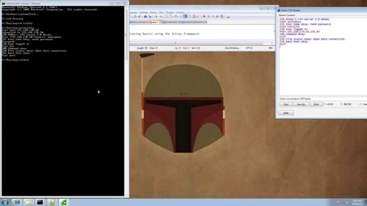 Video1 - Basic fuzzing with Sulley
