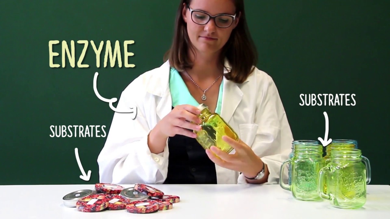 Enzymes and Cascade Reactions