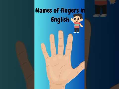 Names of fingers in English#animated #shortsfeed