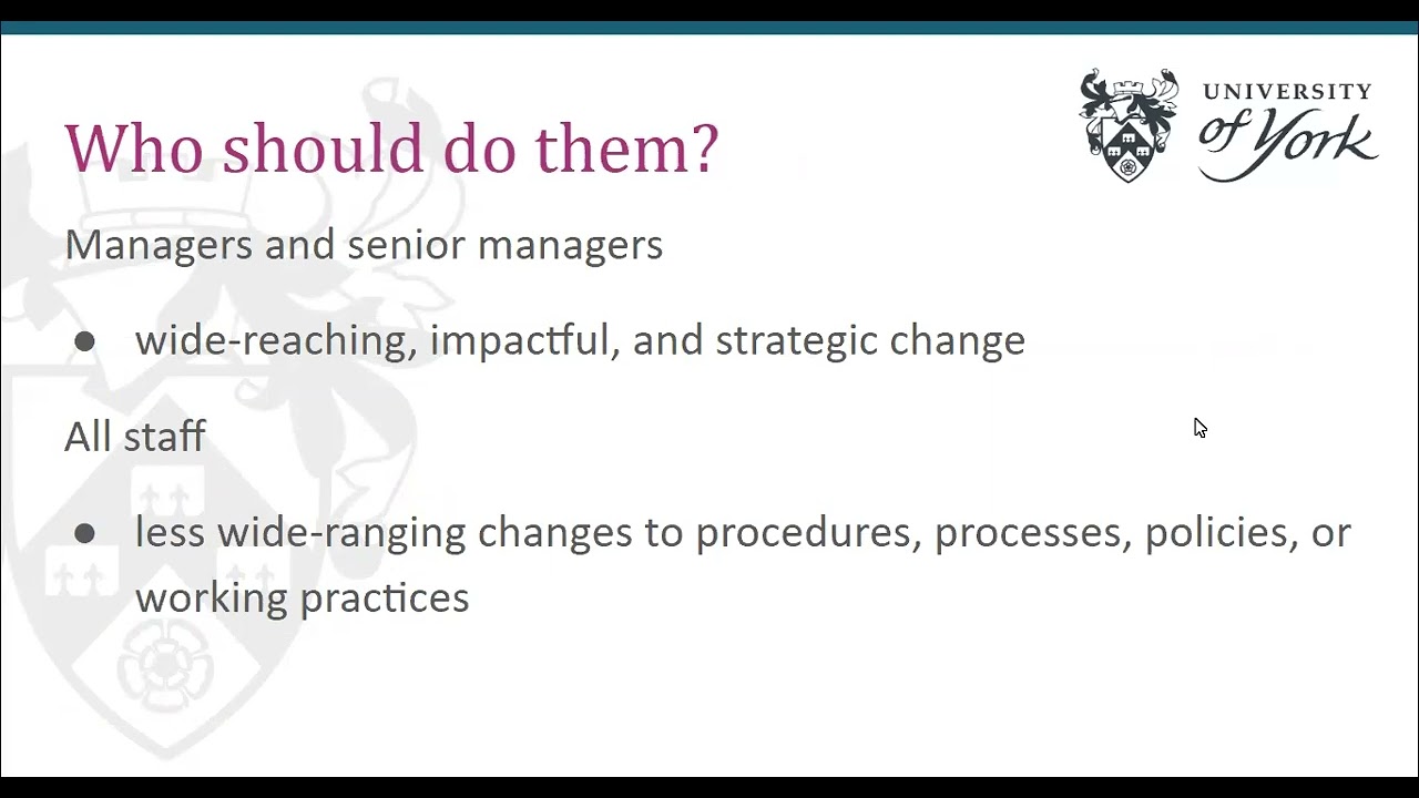 What are Equality Impact Assessments?