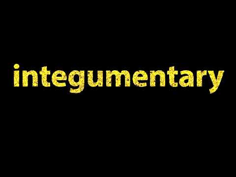 How To Pronounce integumentary