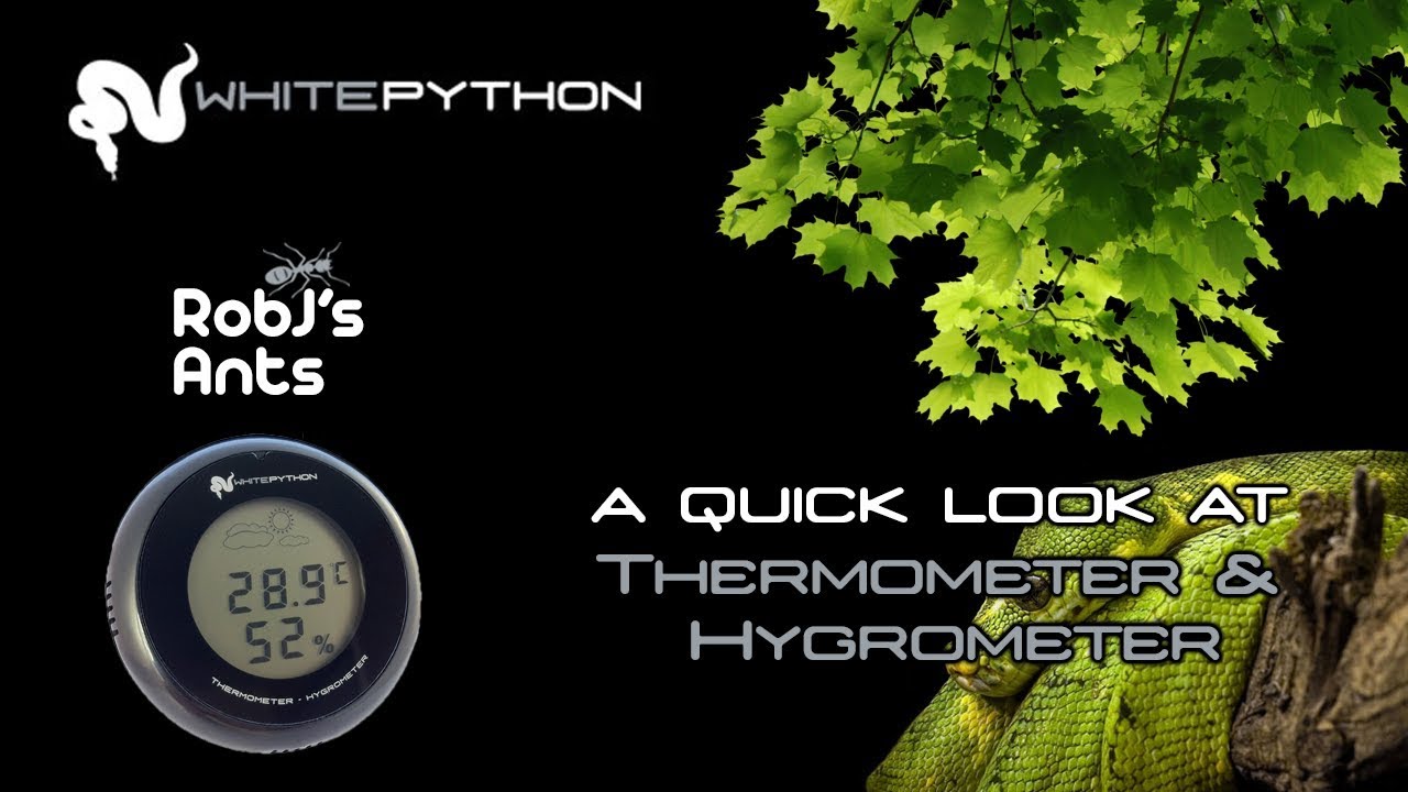 White Python | Digital Thermometer Hygrometer