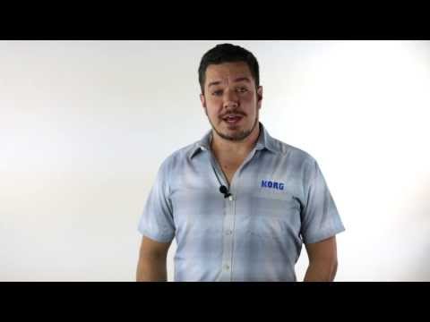Korg Support FAQs - What are the differences between Korg's Arranger products?