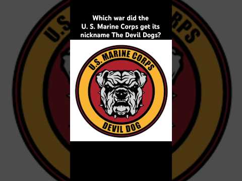 🤯The U.S. Marines are called Devil Dogs #dog #puppy #marines #devildogs #unitedstates #dogbreeds