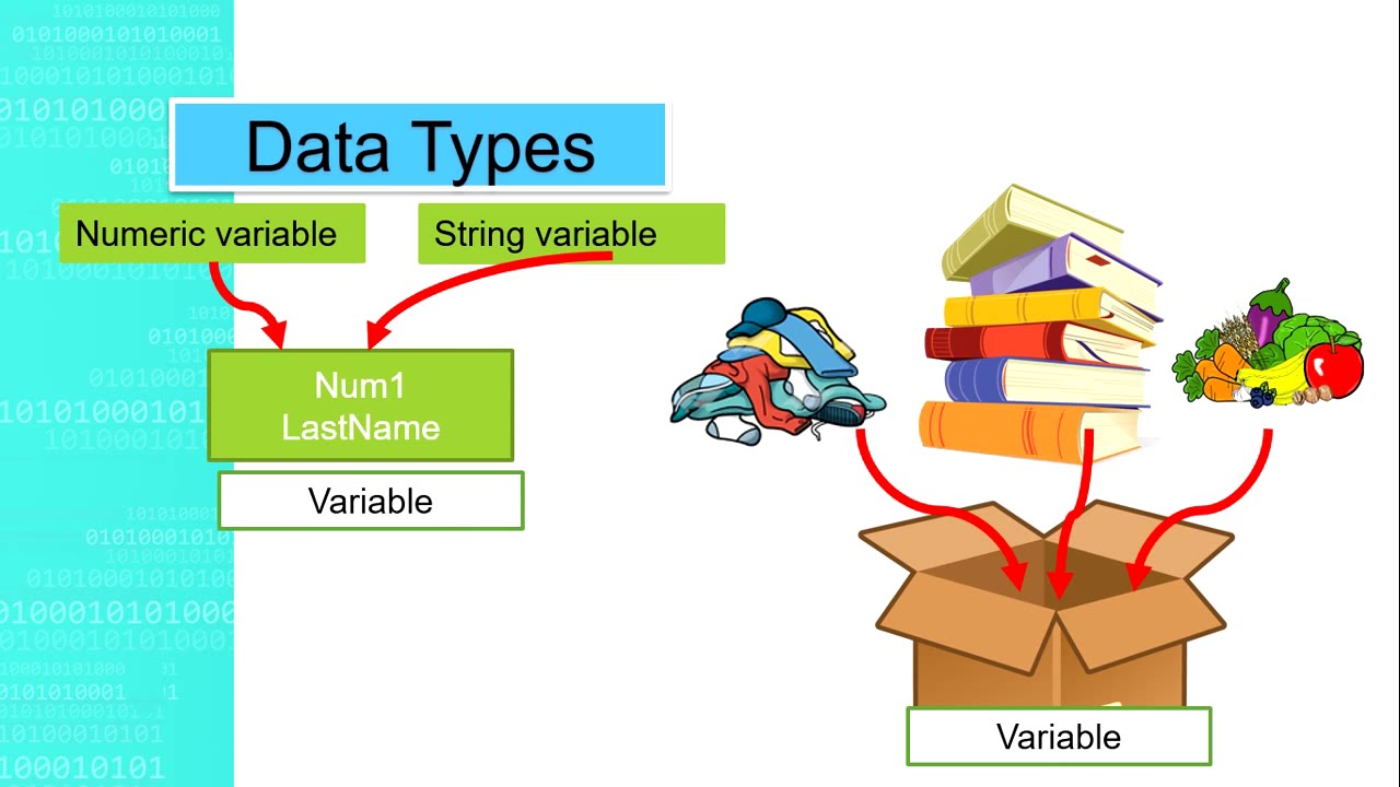 PLD Data Types, Variables and Constants V11