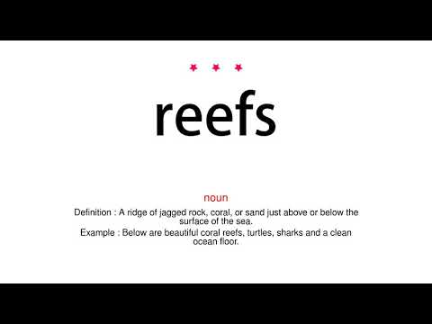 How to pronounce reefs - Vocab Today