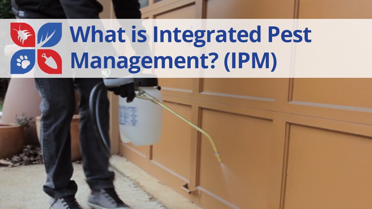 Integrated Pest Management (IPM) | DoMyOwn.com