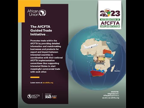 H.E Wamkele Mene on the The African Continental Free Trade Area Guided Trade Initiative #AfCFTA