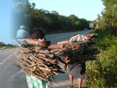 Road Signs of the Yucatan
