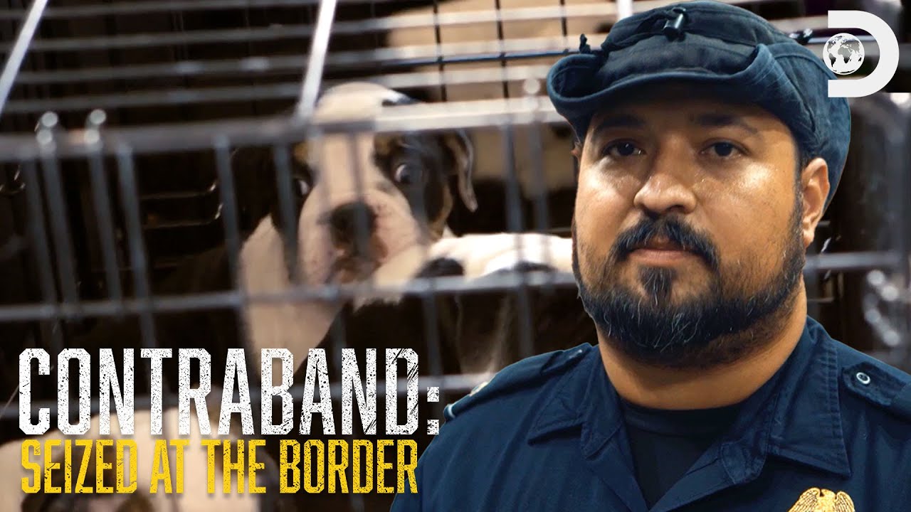 Definitely Not Drugs | Contraband: Seized at the Border | Discovery