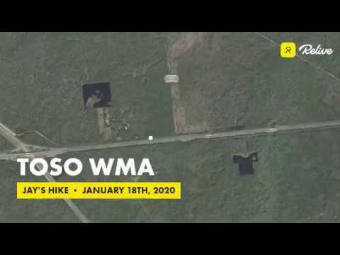 Florida Trail: Tosohatchee WMA